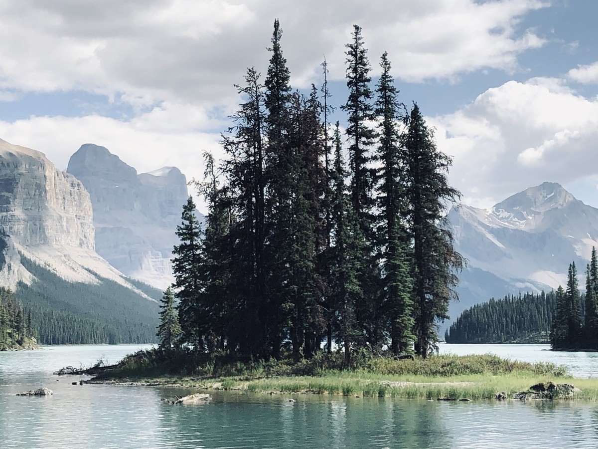 Traditional Chinese Medicine, Homeopath | Bowen Homeopathy and Gregory ...